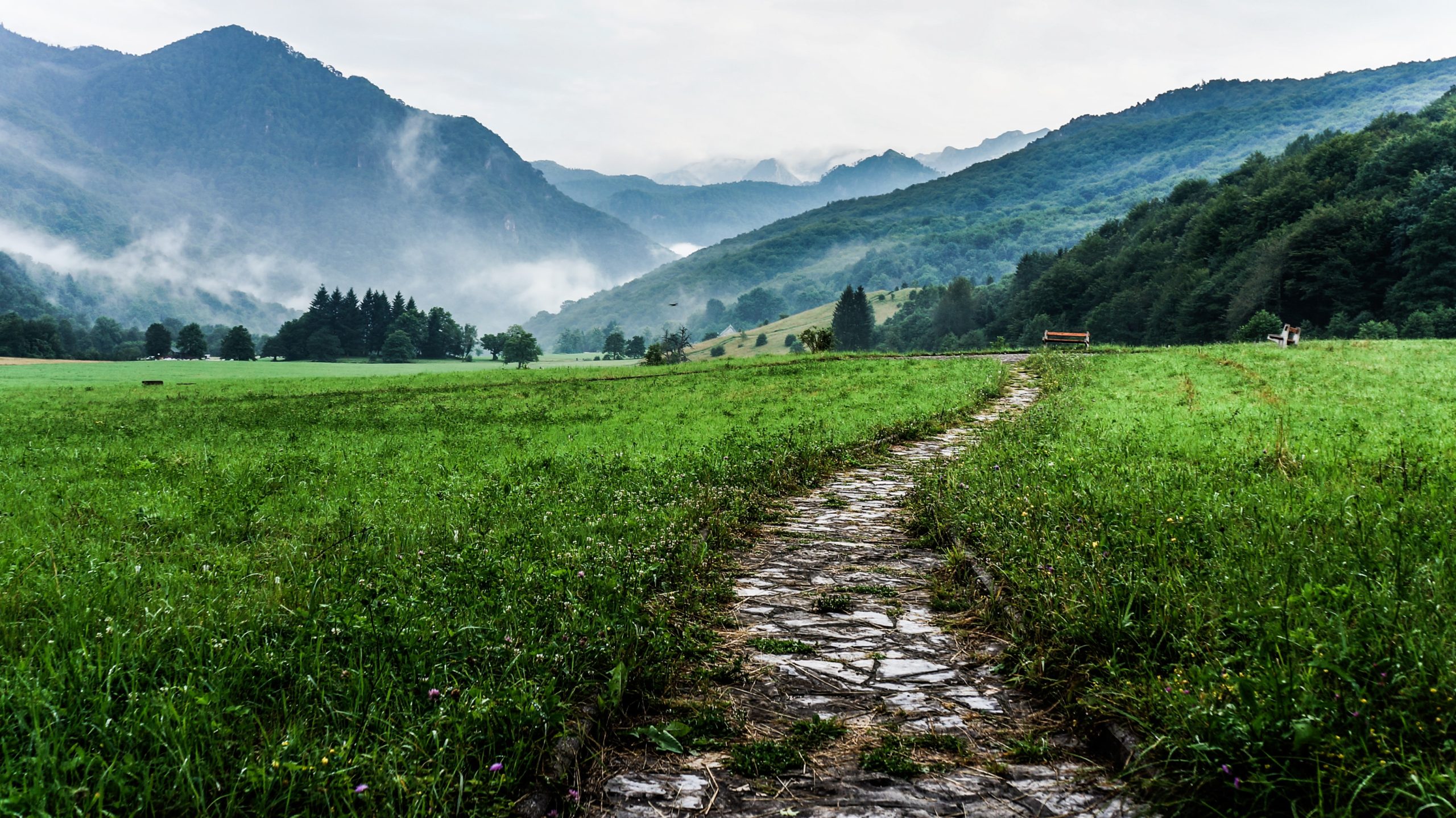 Do Not Quarrel on the Way - Strategic Renewal