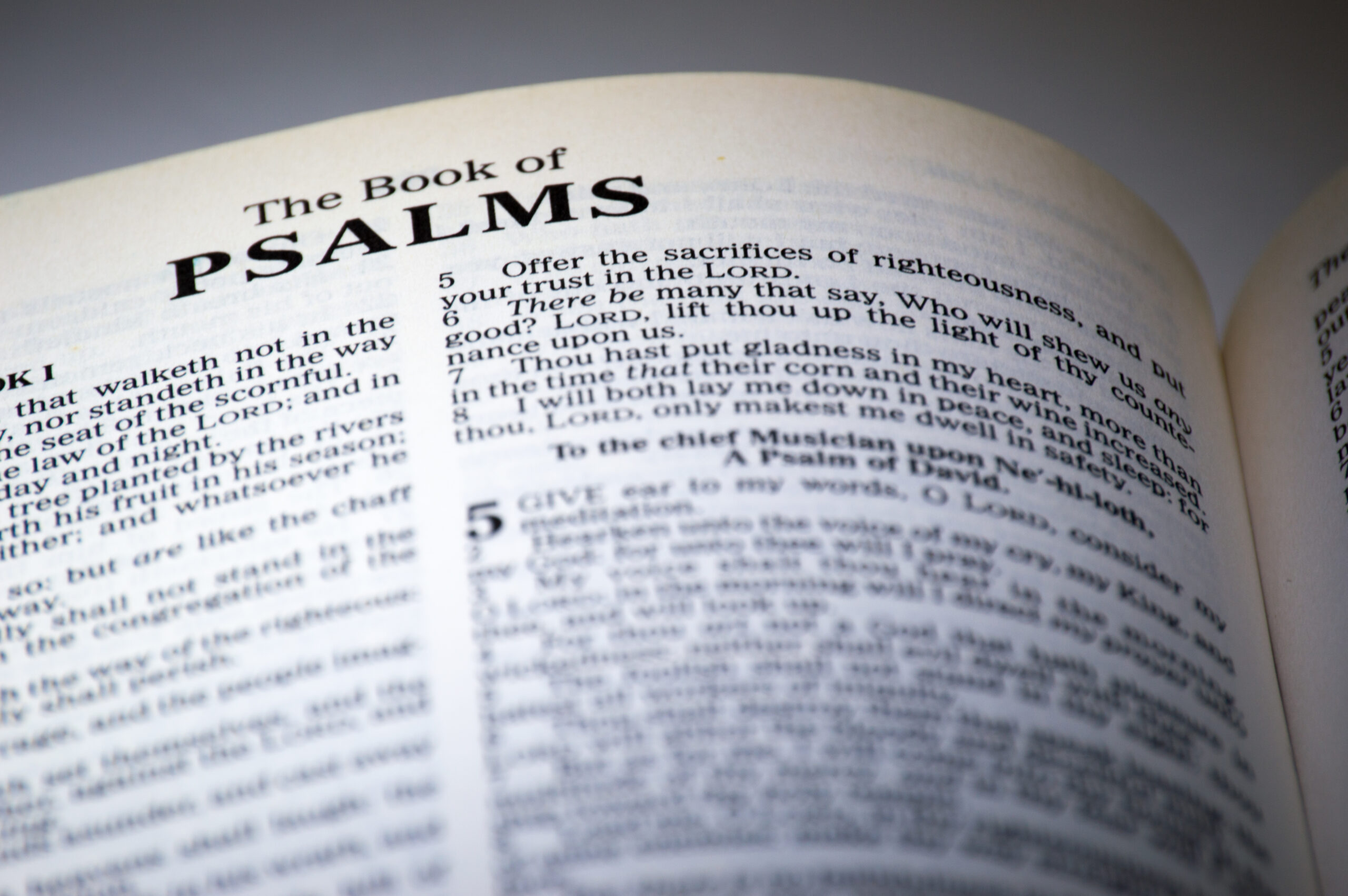 How Jesus Changes the Way You Experience the Psalms - Strategic Renewal